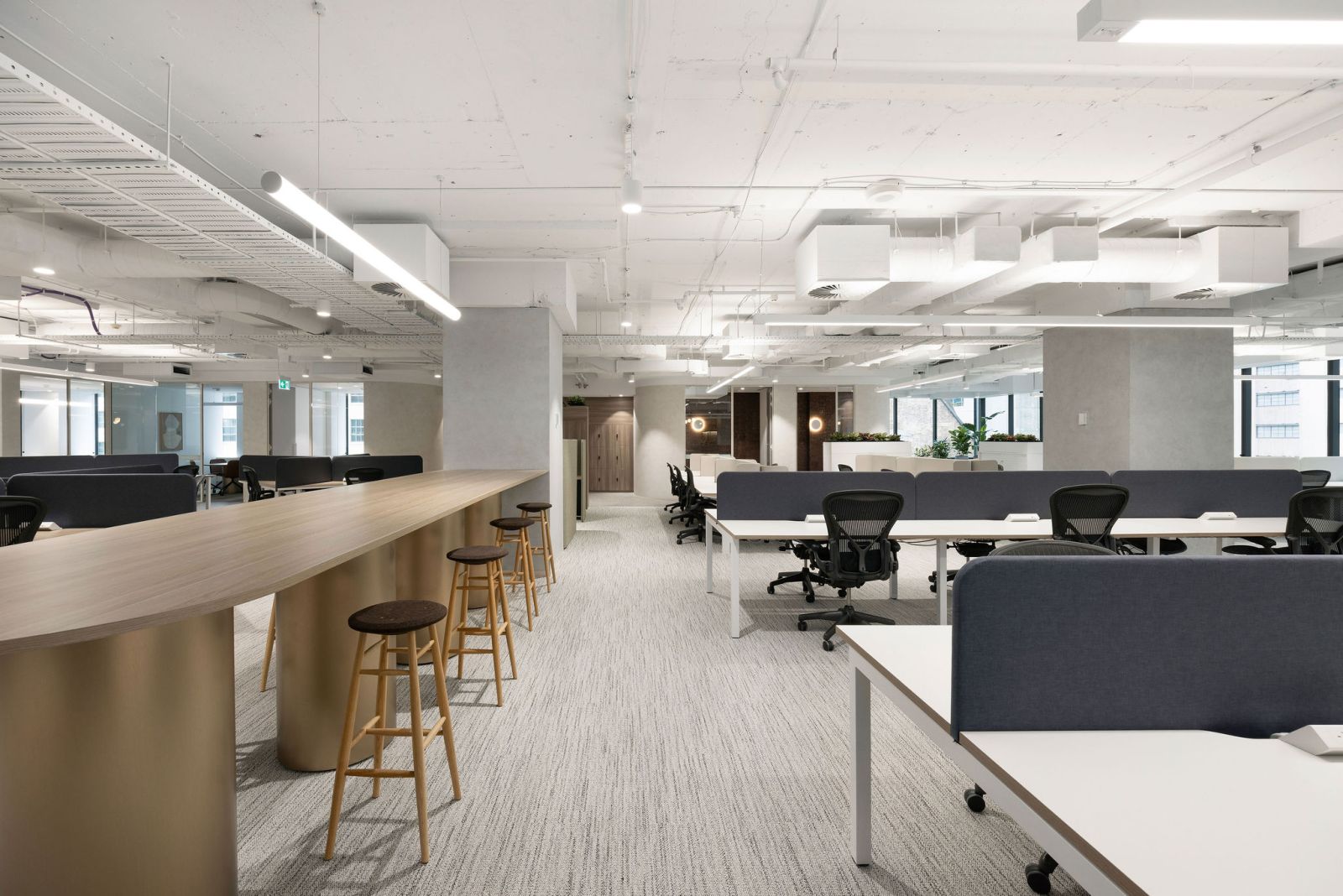 Commercial Office Space for Lease, Sydney | 255 Pitt Street